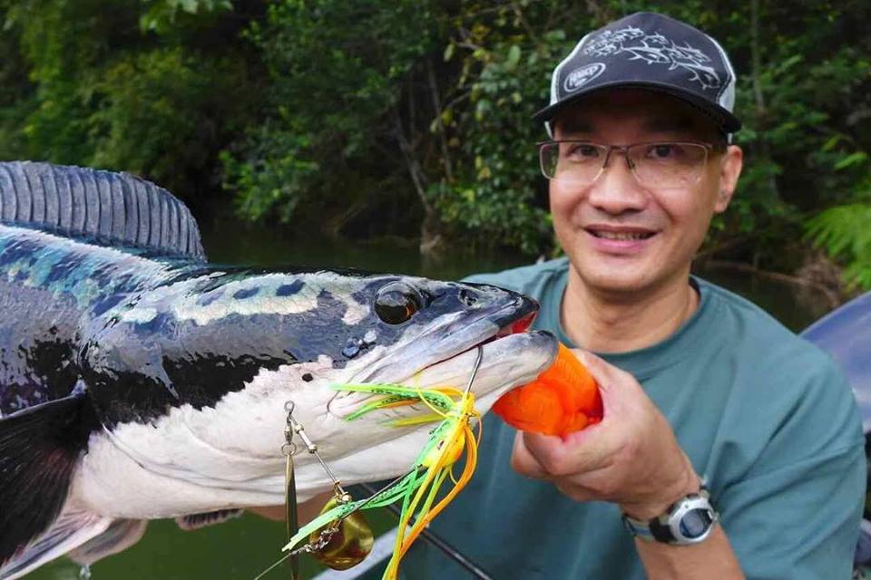 Christopher Tan with a cracking Toman – BASSMAN SPINNERBAITS